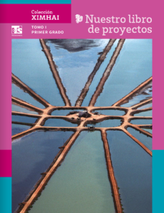 Descarga Nuestro Libro de Proyectos. Tomo 1